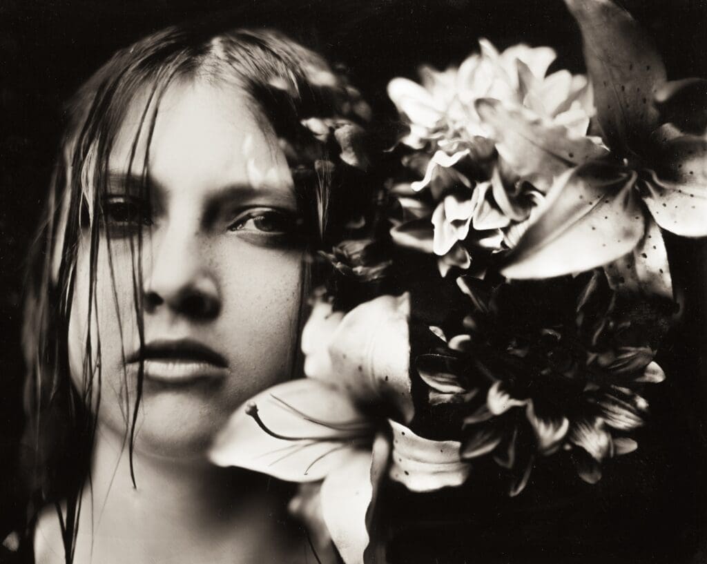 Meet the Artists | Jamestown Fine Arts Association